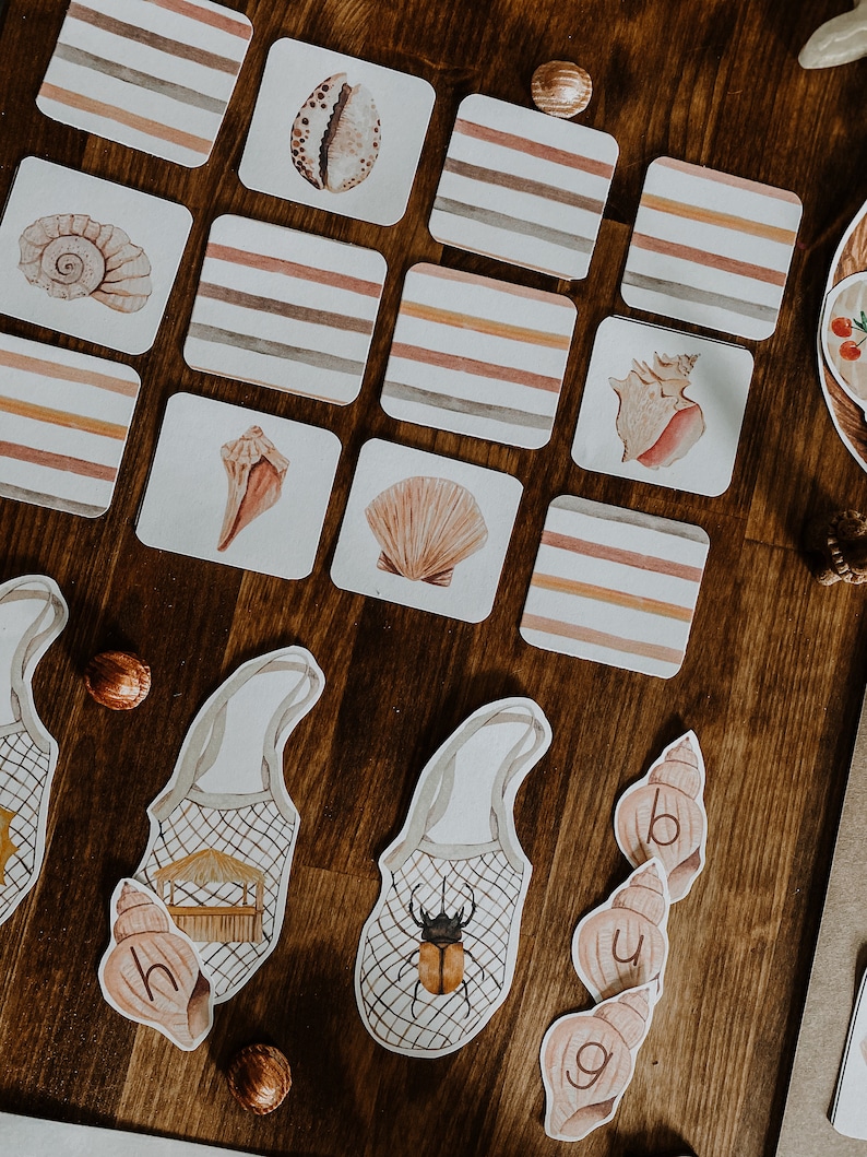 Seashell Unit Study, Ocean Study Unit, Seashell 3 Part Flashcards ...