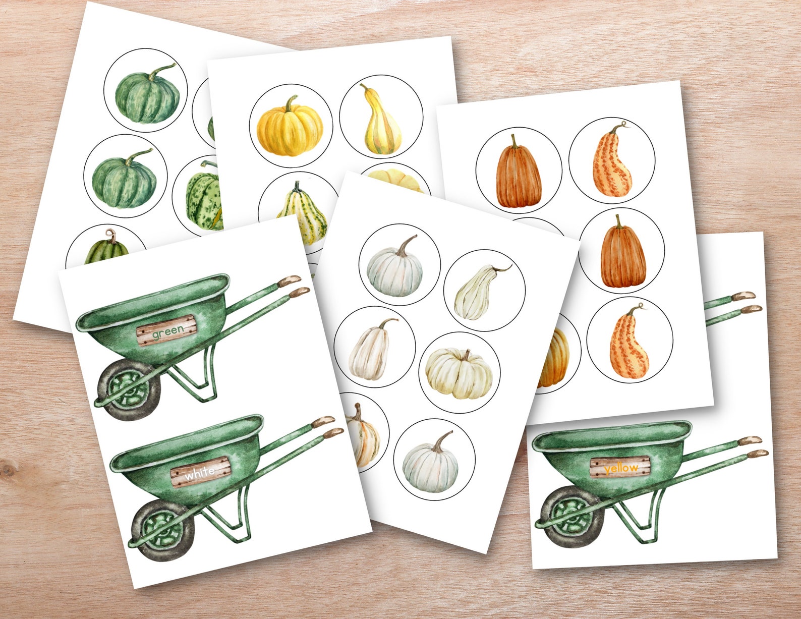 Pumpkin Color Matching Game Toddler Montessori Activity - Etsy