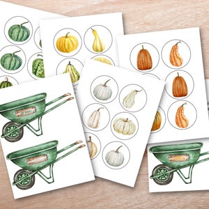 Pumpkin Color Matching Game, Toddler Montessori Activity, Preschool ...