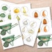 Pumpkin Color Matching Game, Toddler Montessori Activity, Preschool ...