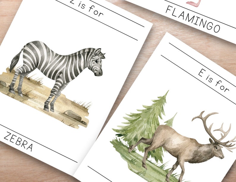 ABC Animal Alphabet Printable Flash Cards Classroom Art - Etsy