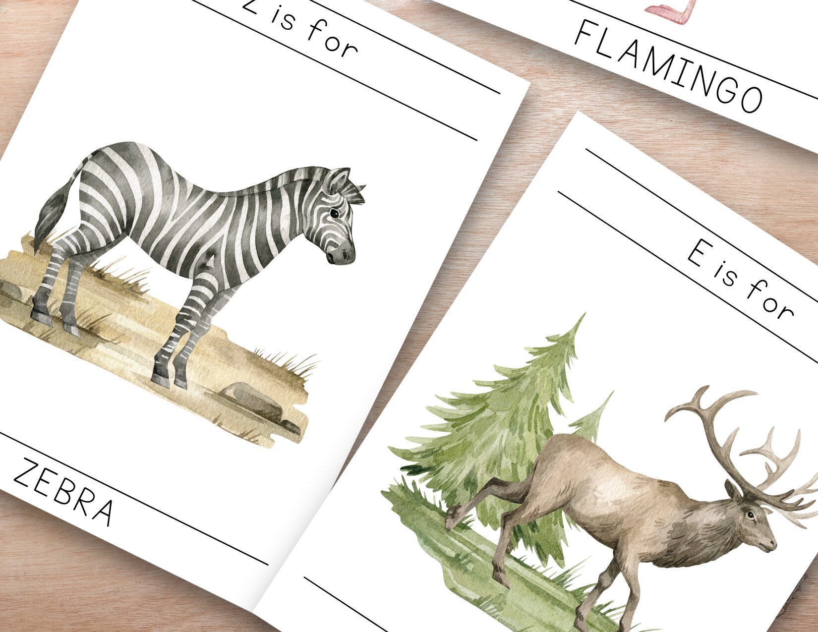 ABC Animal Alphabet Printable Flash Cards Classroom Art - Etsy