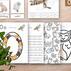 Owl Mini Unit Study Bundle, Owl Study, Fall Montessori Unit, Nature ...