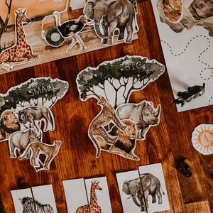 Safari Activity Unit, Safari Montessori Unit, African Animal Flashcards ...