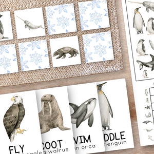 Arctic Animal Activity Unit, Winter Montessori Unit, Nature Flashcards ...