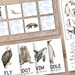 Arctic Animal Activity Unit, Winter Montessori Unit, Nature Flashcards ...