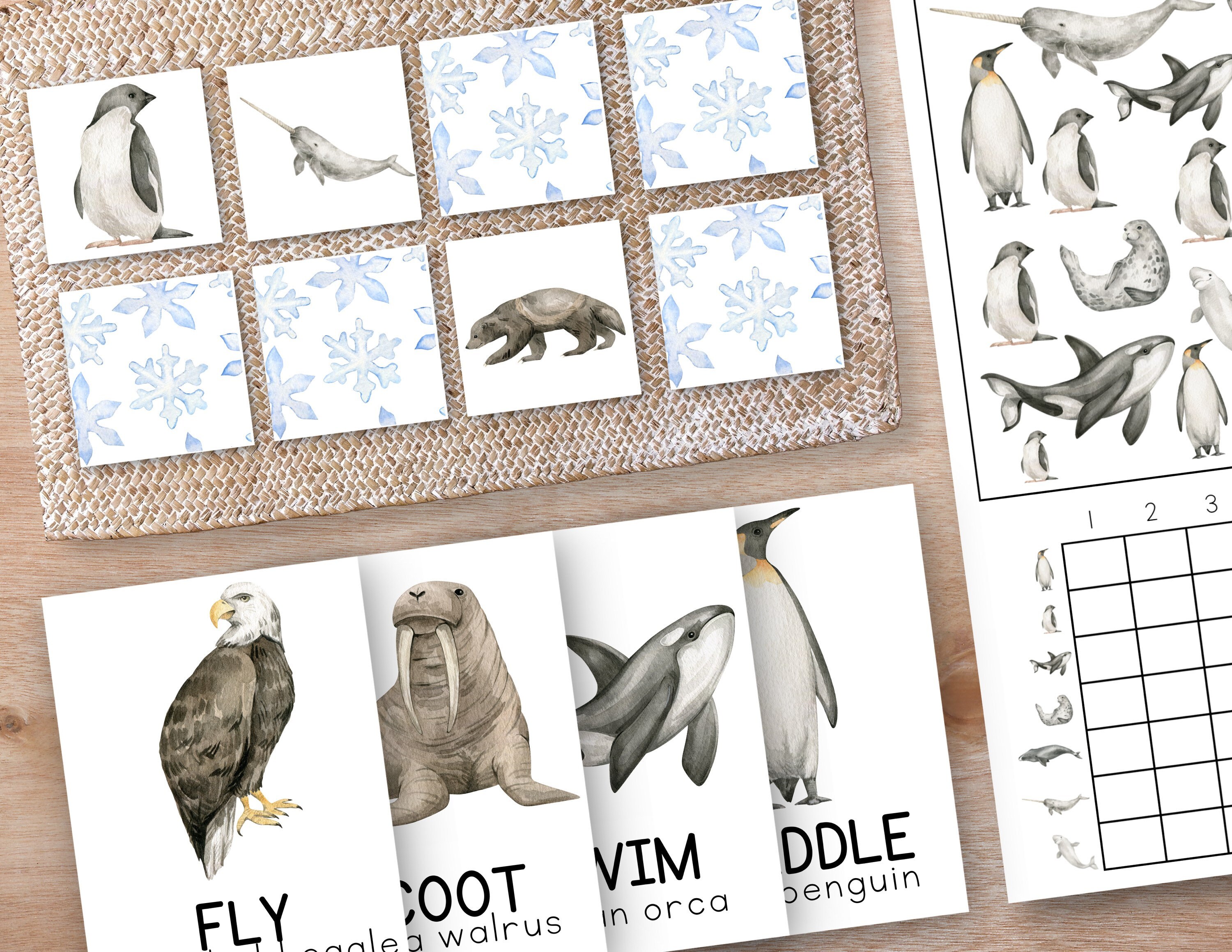 Arctic Animal Activity Unit, Winter Montessori Unit, Nature Flashcards ...