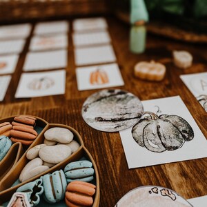 Pumpkin Activity Unit, Pumpkin Montessori Unit, Nature Flashcards ...