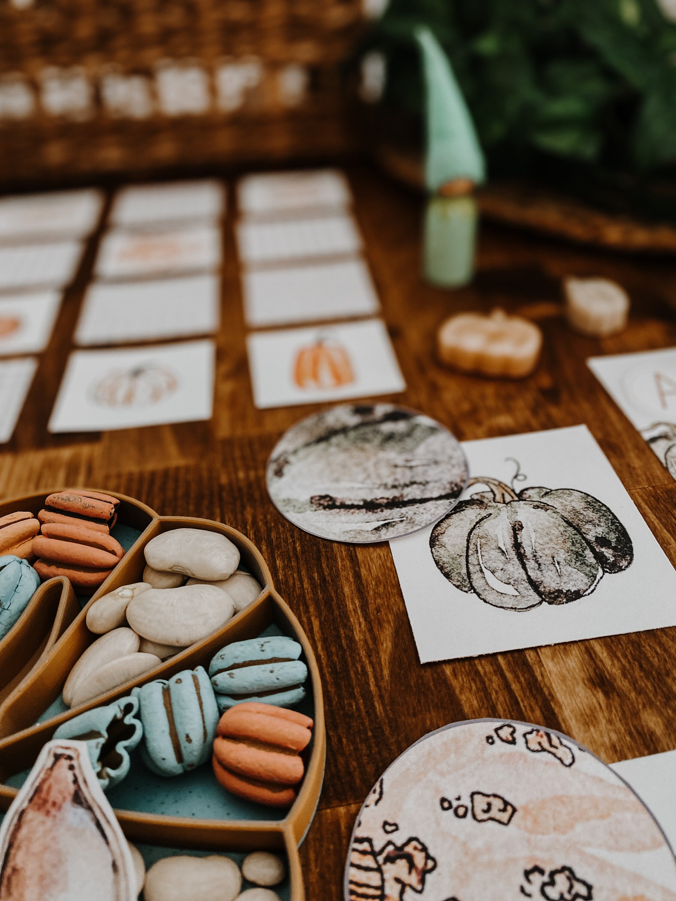 Pumpkin Activity Unit, Pumpkin Montessori Unit, Nature Flashcards ...