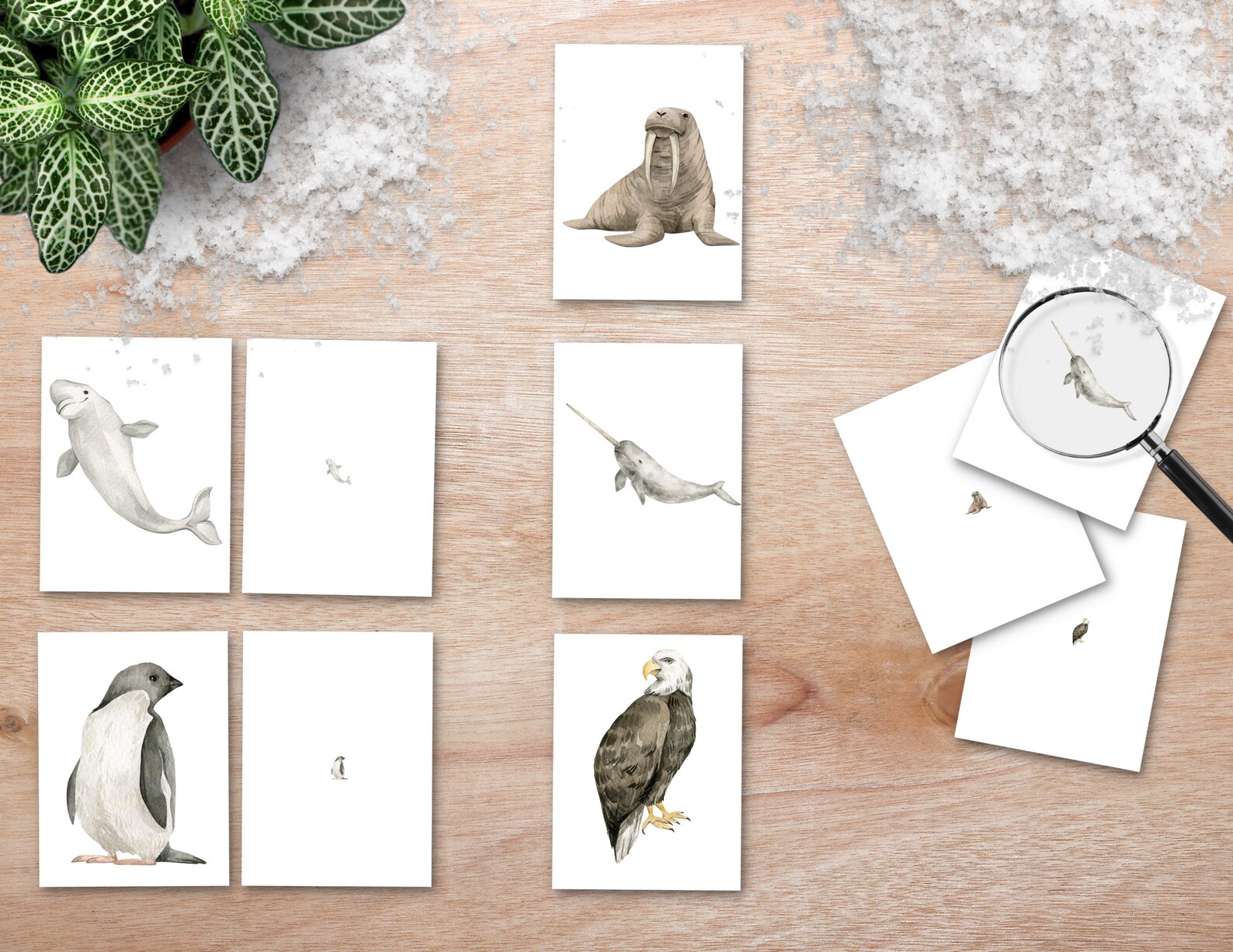Arctic Animal Magnifying Match Activity, Montessori Winter Activity ...