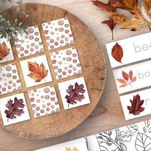 Fall Unit Study Bundle, Leaves Unit Study, Homeschool Learning ...