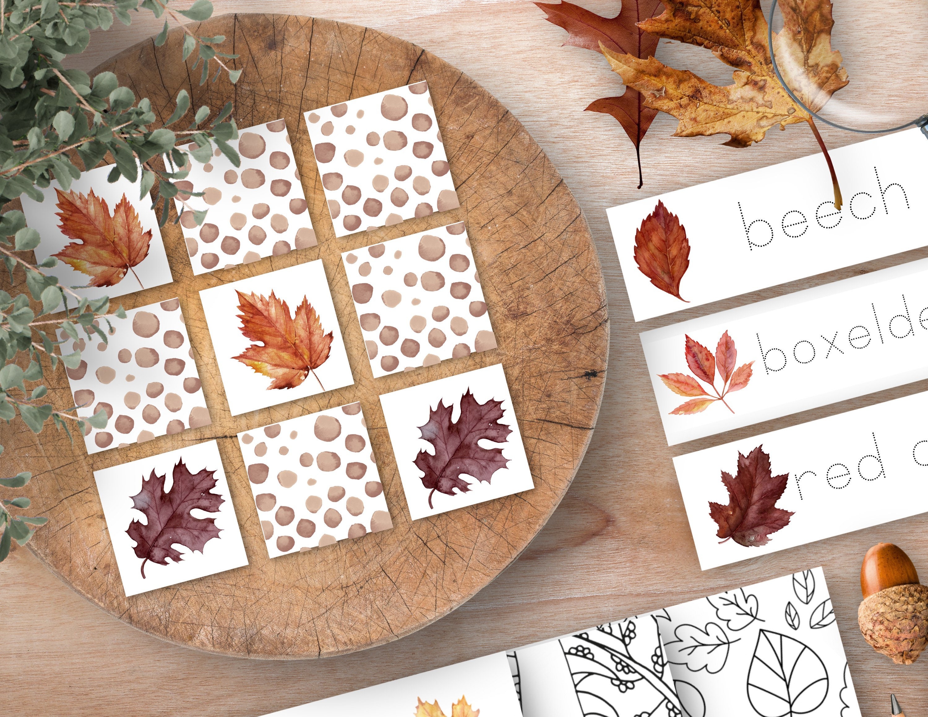 Fall Unit Study Bundle, Leaves Unit Study, Homeschool Learning ...