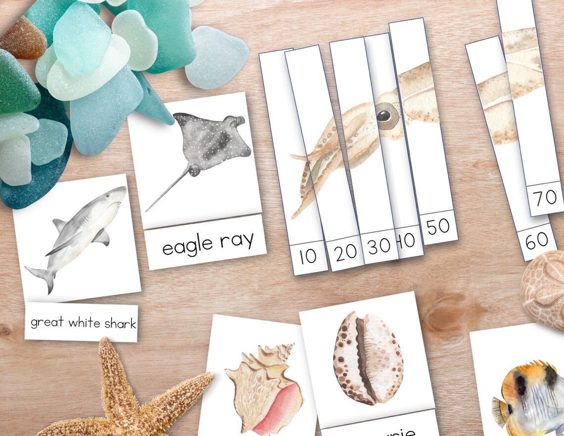 Ocean Unit Study Bundle, Montessori Summer, 3 Part Cards, Math Number ...