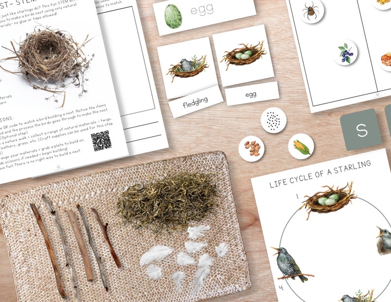 Bird Unit Study Bundle, Bird Study, Fall Montessori Unit, Nature ...