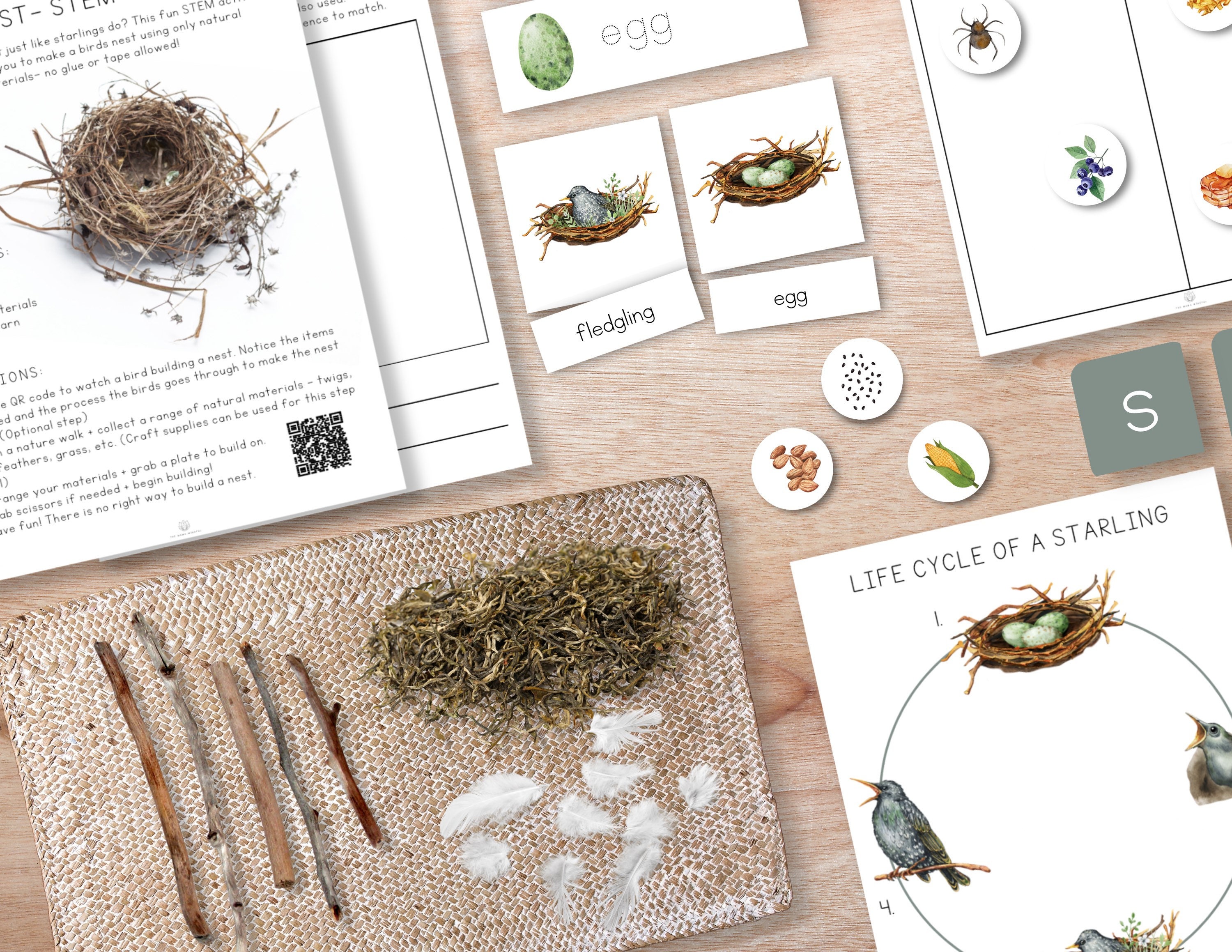 Bird Unit Study Bundle, Bird Study, Fall Montessori Unit, Nature ...