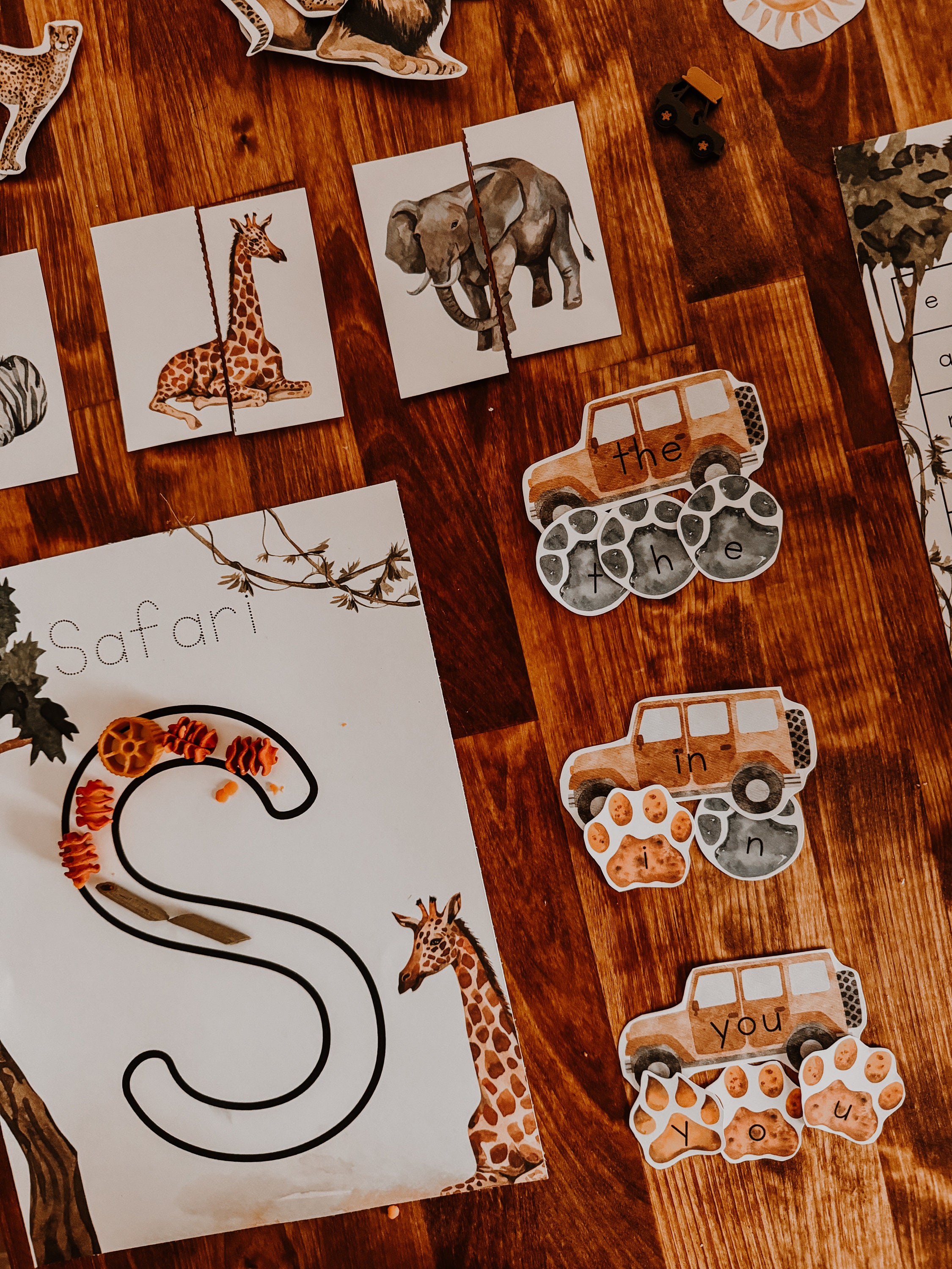 Safari Activity Unit, Safari Montessori Unit, African Animal Flashcards ...
