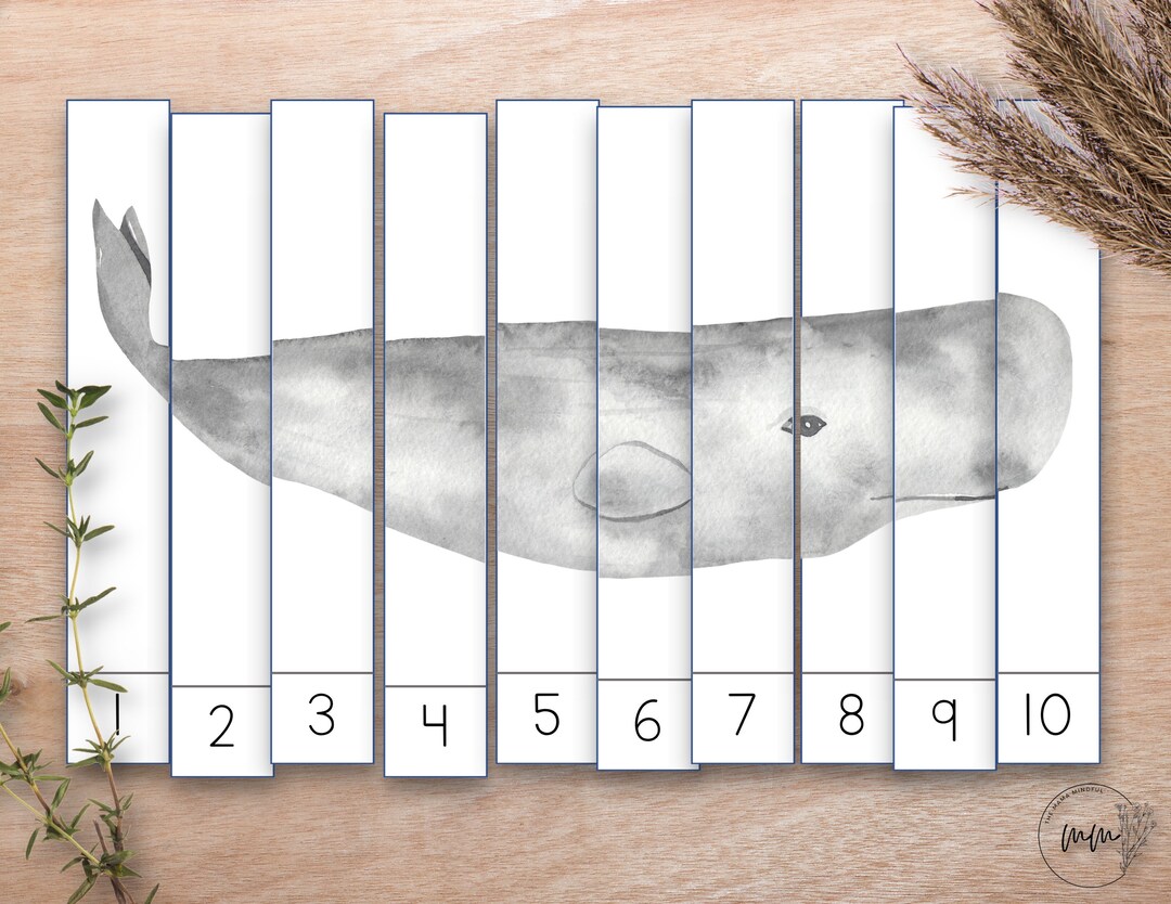 Ocean Animal Number Puzzle, Counting 1-10, Count by 10, Count by 5 ...