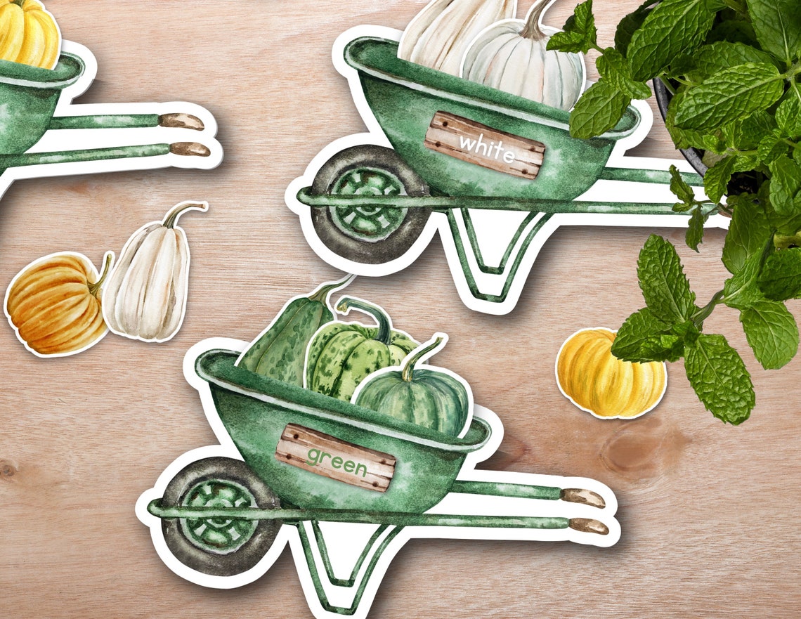 Pumpkin Color Matching Game Toddler Montessori Activity - Etsy