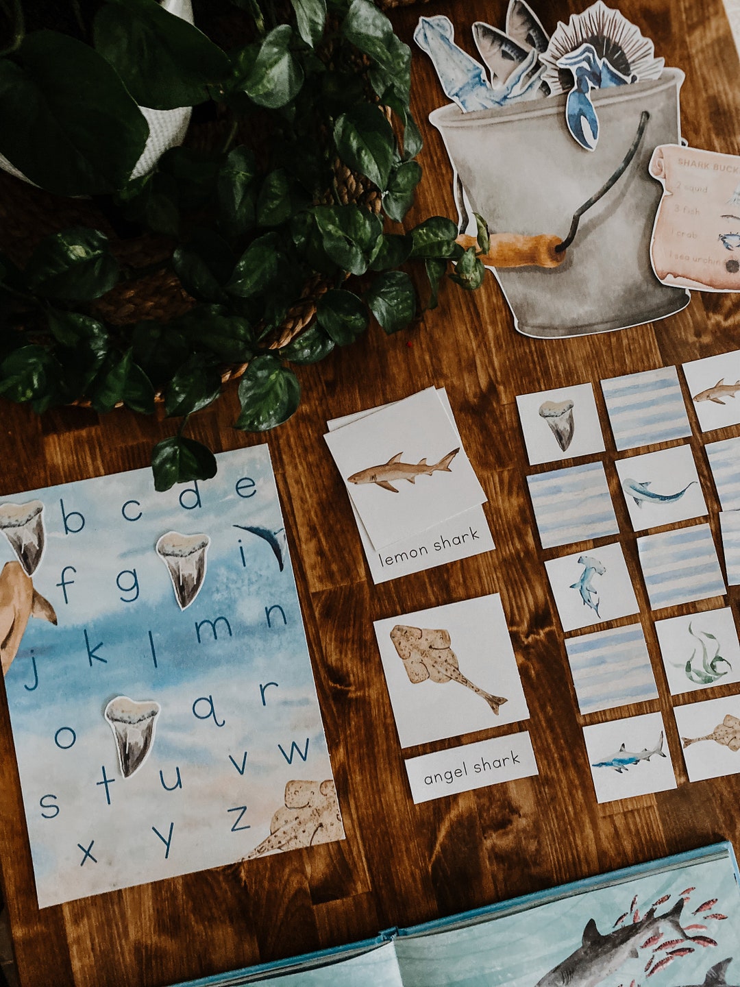 Shark Activity Unit, Shark Study Unit, 3 Part Flashcards, Homeschool ...