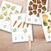 Insect Size Sorting Activity, Insect Size Match, Montessori Nature Unit ...
