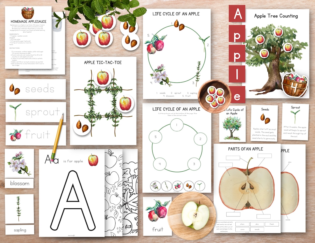 Apple Unit Study Bundle, Apple Study, Fall Montessori Unit, Nature ...