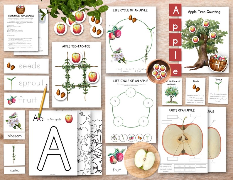 Apple Unit Study Bundle Apple Study Fall Montessori Unit - Etsy