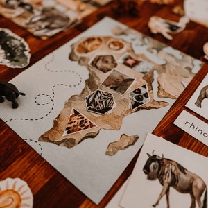 Safari Activity Unit, Safari Montessori Unit, African Animal Flashcards ...