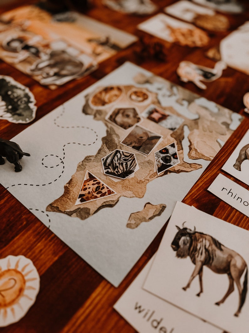 Safari Activity Unit, Safari Montessori Unit, African Animal Flashcards ...