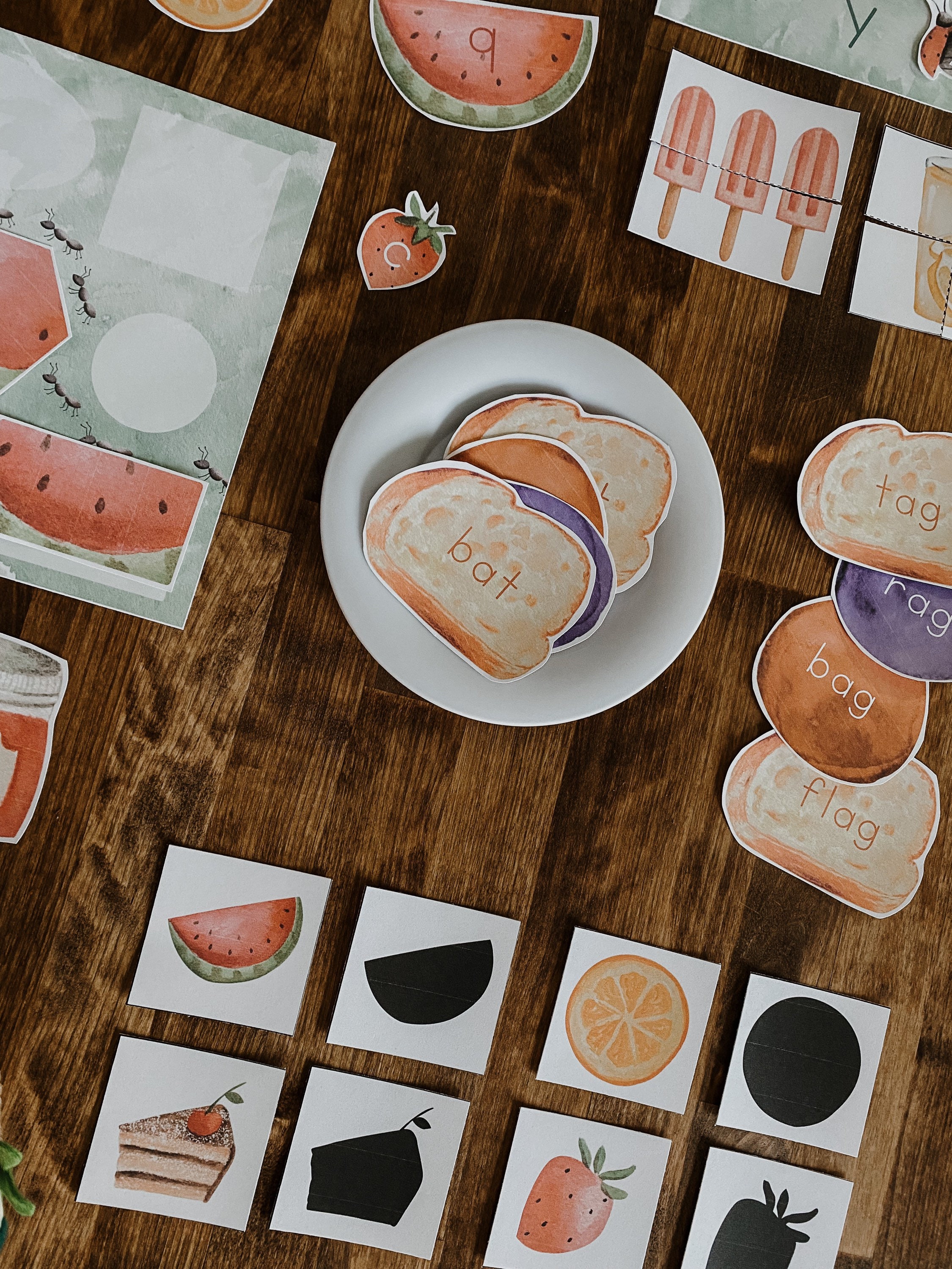 Picnic Activity Unit, Ants Montessori Unit, Nature Flashcards ...