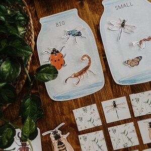 Bug Activity Unit, Insect Montessori Unit, Nature Flashcards ...