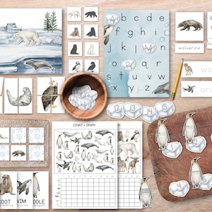 Arctic Animal Activity Unit, Winter Montessori Unit, Nature Flashcards ...