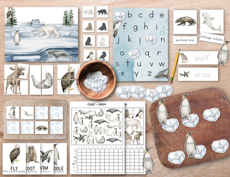 Arctic Animal Activity Unit, Winter Montessori Unit, Nature Flashcards ...