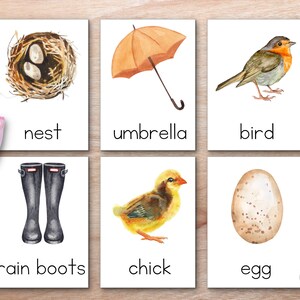 SPRING EASTER Montessori Nomenclature 3-part Cards, Vocabulary Flash ...