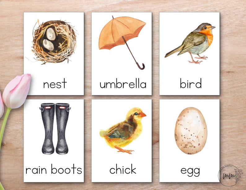 SPRING EASTER Montessori Nomenclature 3-part Cards, Vocabulary Flash ...
