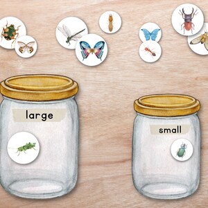 Insect Size Sorting Activity, Insect Size Match, Montessori Nature Unit ...