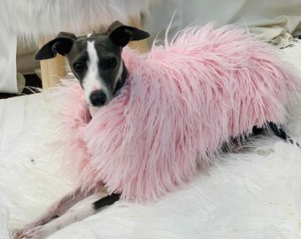 Pink Greyhound Coat - Etsy
