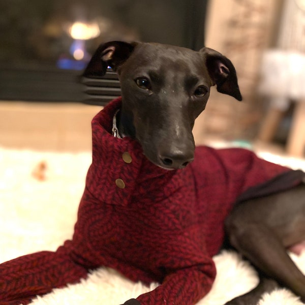 Greyhound Sweater - Etsy