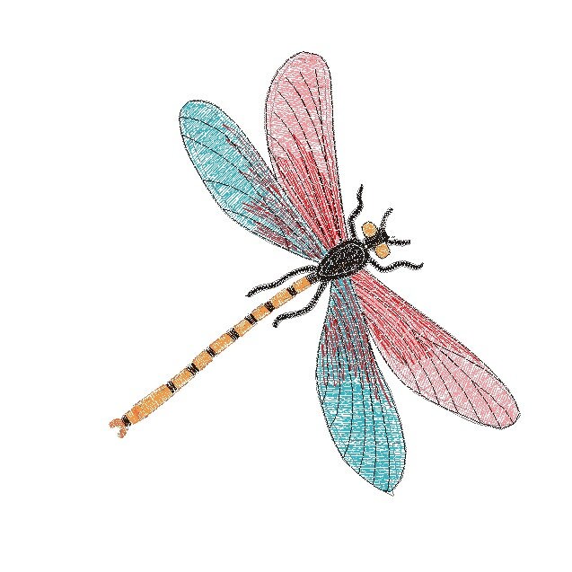 Dragonfly Machine Embroidery Dragonfly Animal Design Design Instant ...