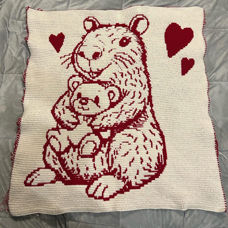 Capybara Blanket - Etsy