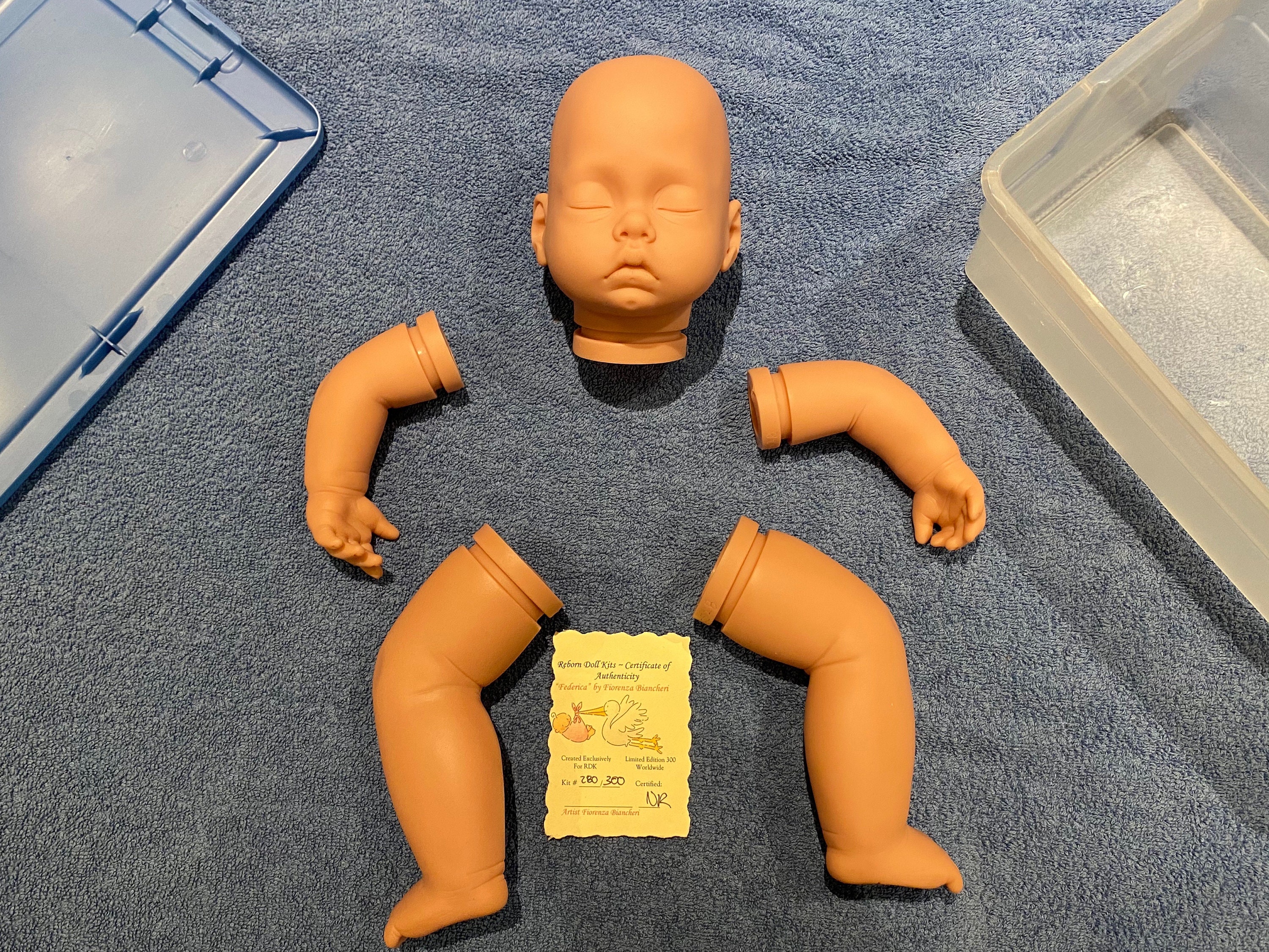 Federica Reborn Silicone Doll Kits by Reborn Dolls for Kids - Etsy