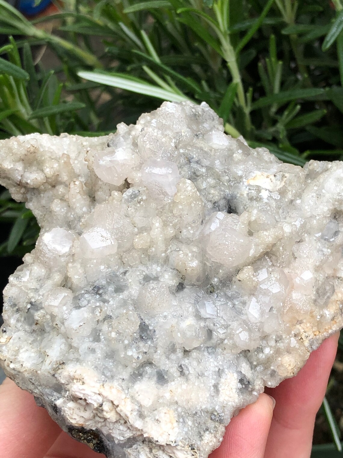 Druzy Quartz Raw Crystal Cluster Clear Quartz Specimen de alta - Etsy España