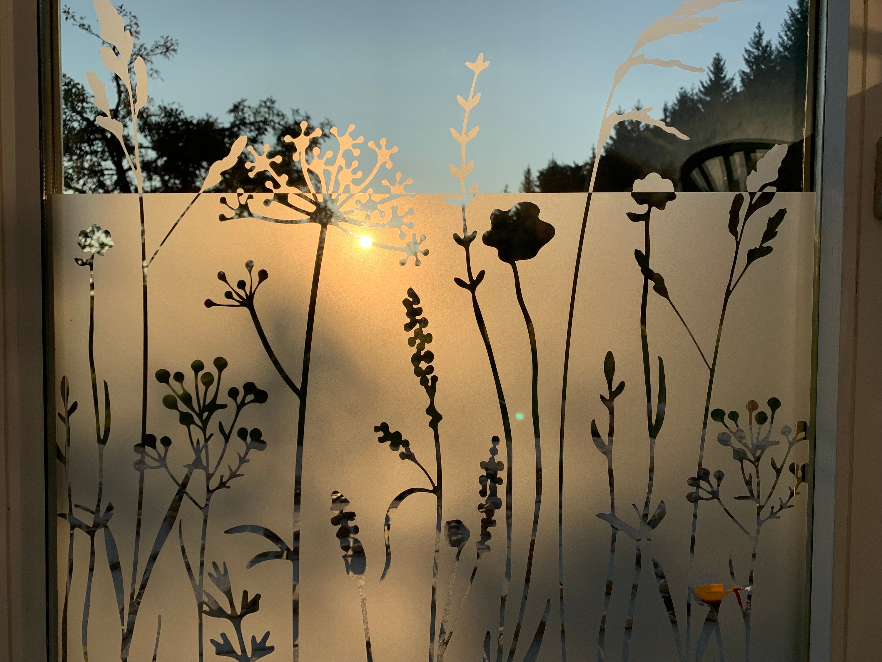 Window Film Grasses, Privacy Film, Frosted Glass Film, Sandblasted Look ...