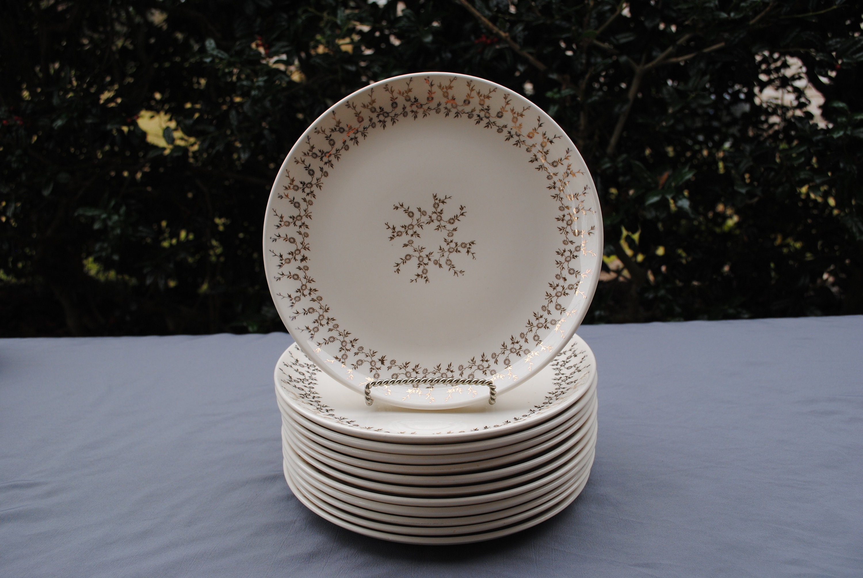 French Saxon China Set 22KT Gold Design Damask Trim - Etsy