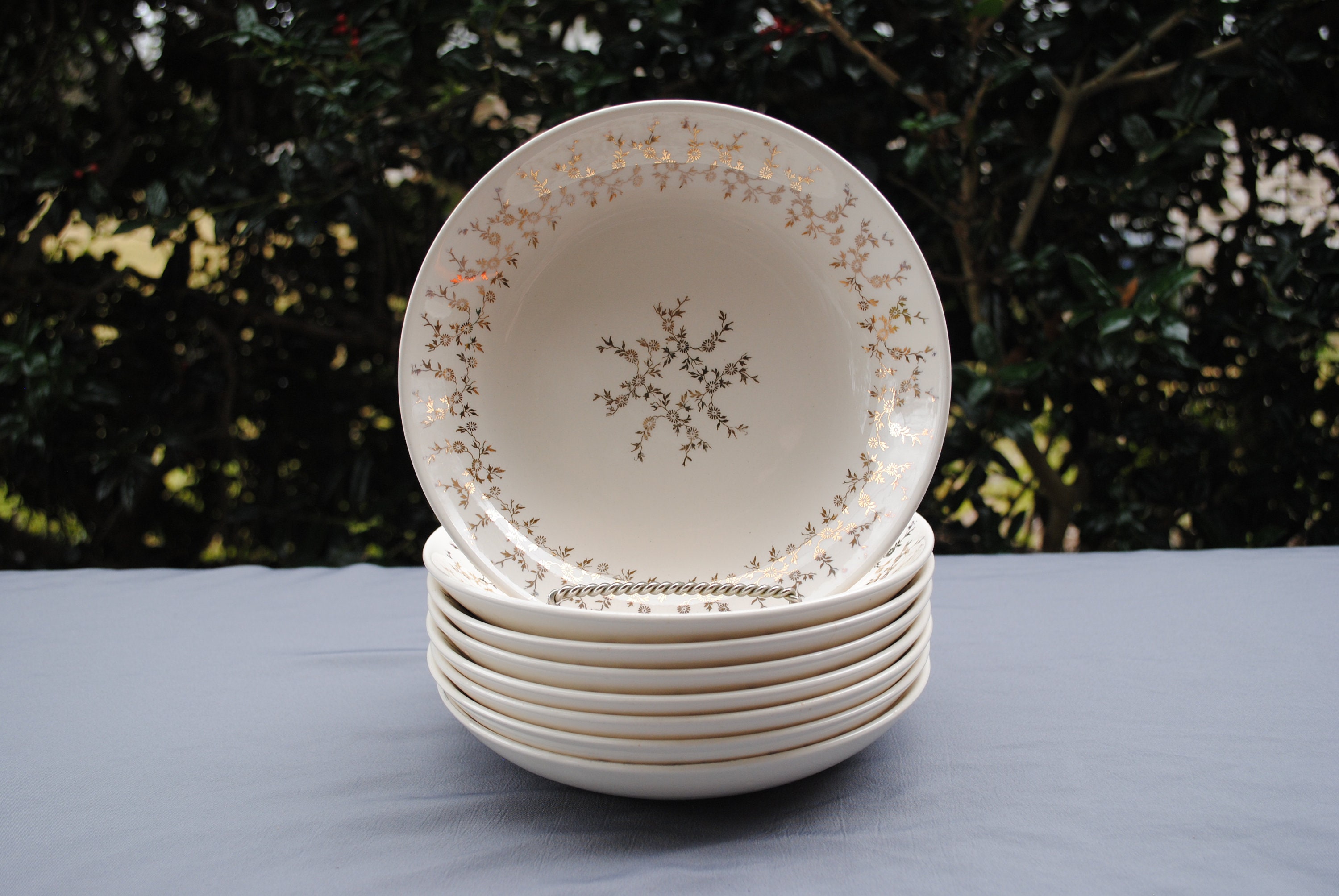 French Saxon China Set 22KT Gold Design Damask Trim - Etsy