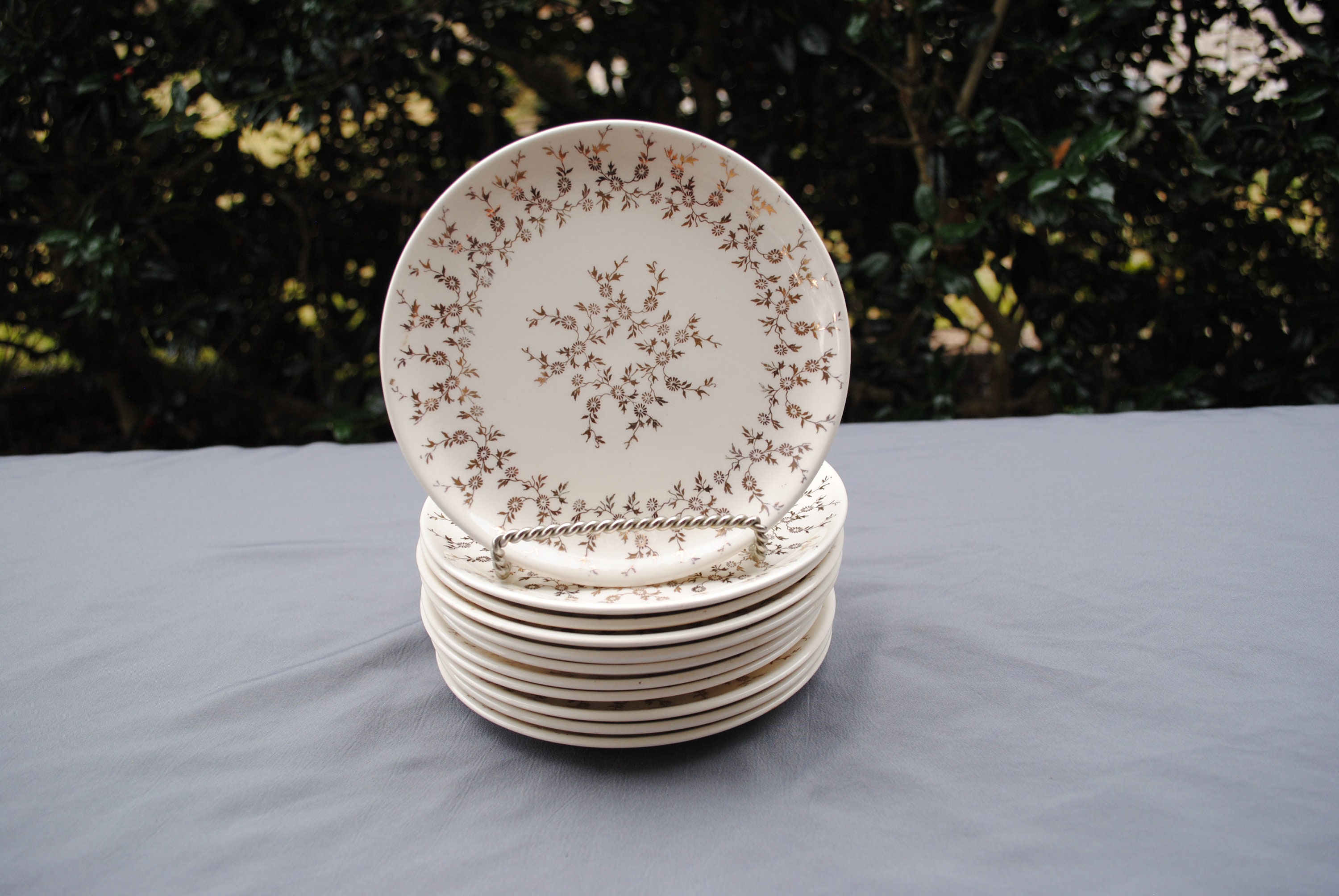French Saxon China Set 22KT Gold Design Damask Trim - Etsy