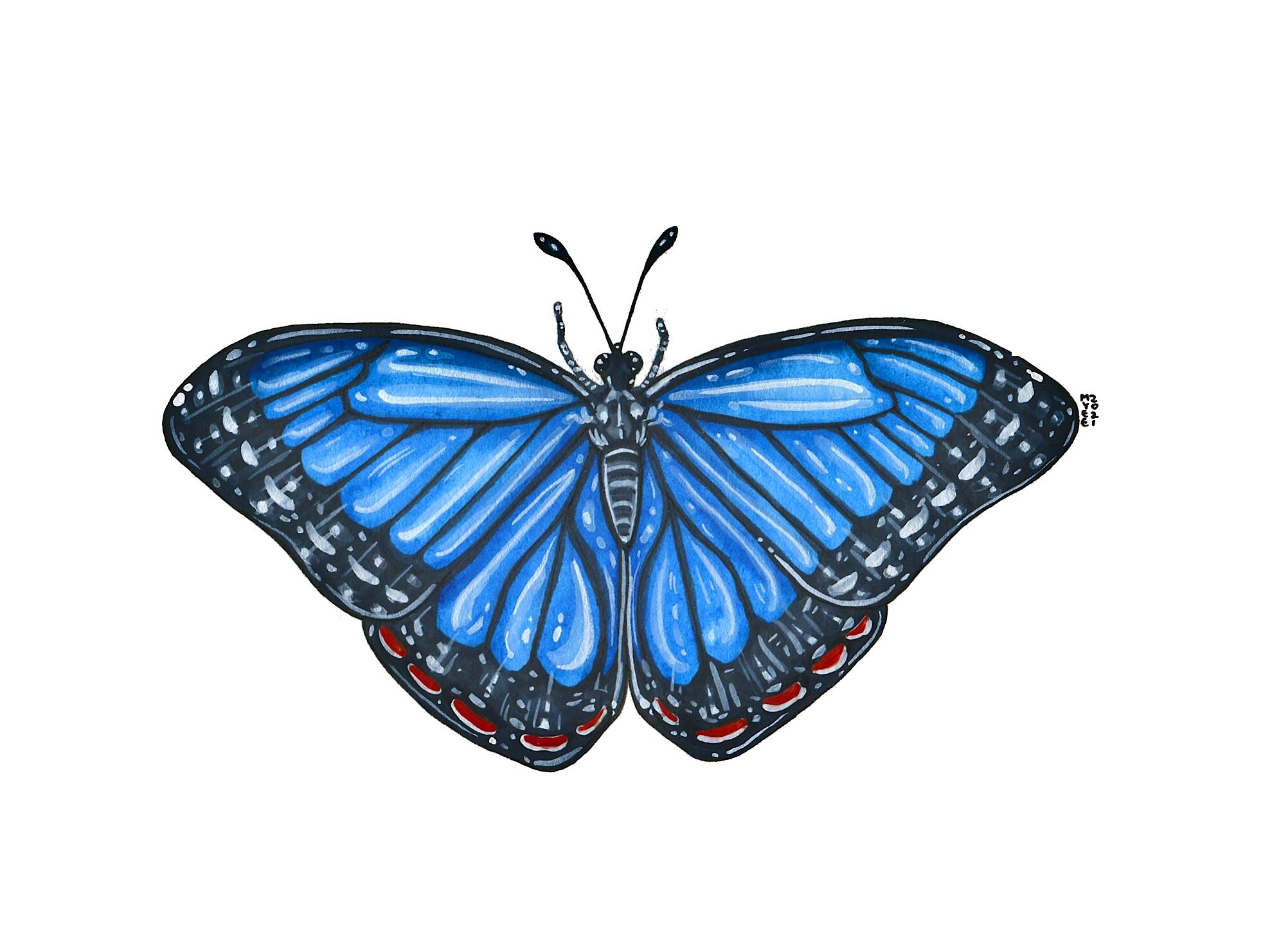 Emperor Butterfly, Original Watercolor Painting - Etsy
