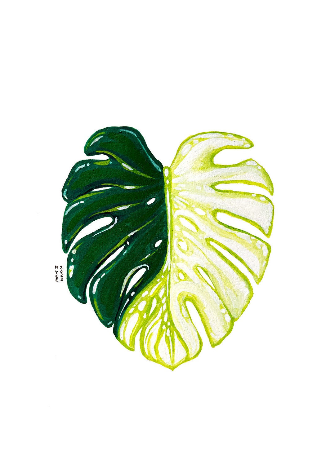 Monstera, Original Watercolor Painting - Etsy