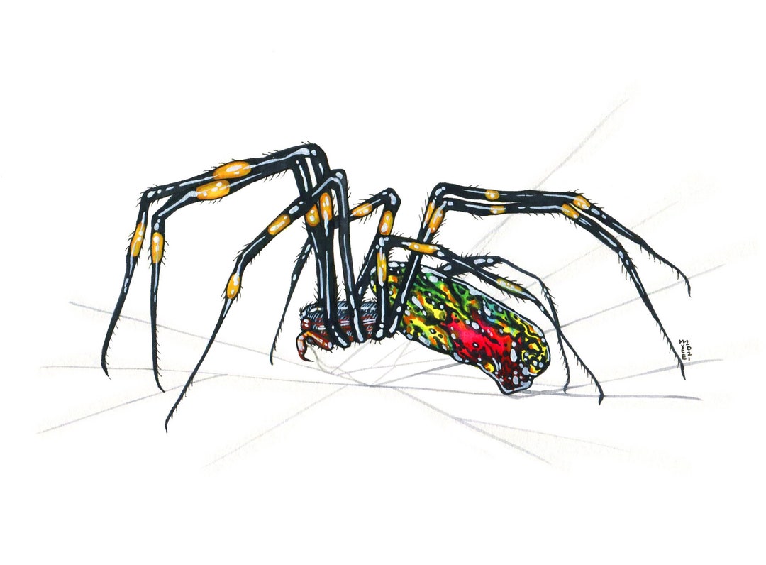 Jorō Spider, Original Watercolor Painting - Etsy