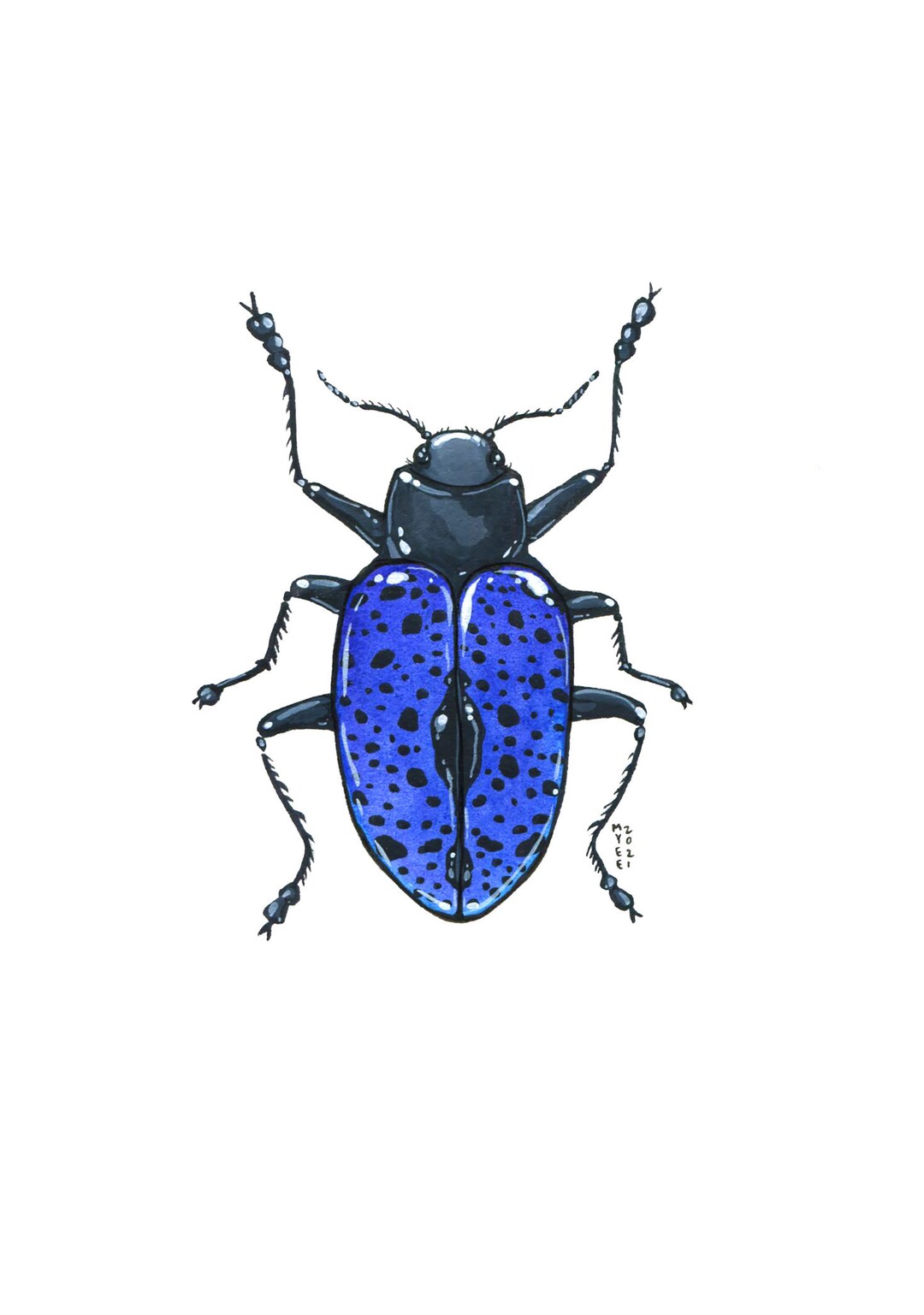 Blue Fungus Beetle, Original Watercolor Painting - Etsy