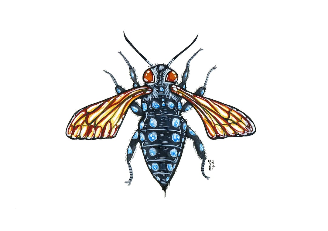 Checkered Cuckoo Bee, Original Watercolor Painting - Etsy